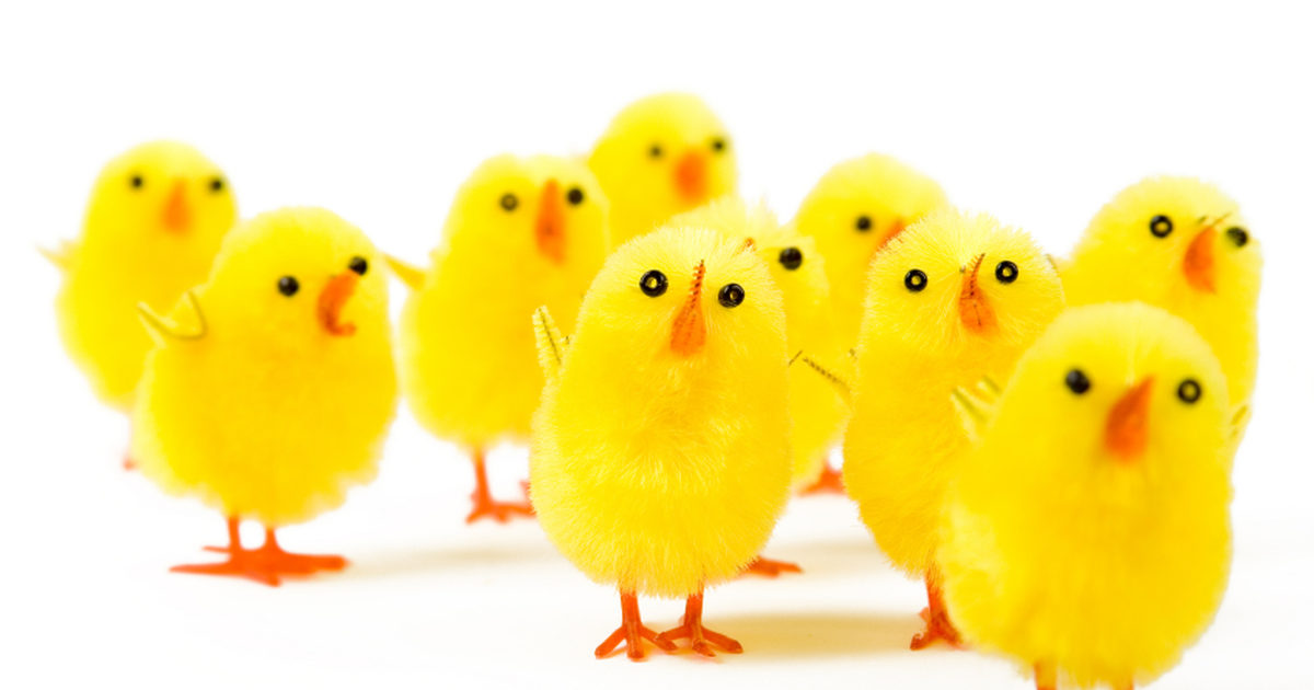 Páskar í Paradís / Easter openings – Bíó Paradís